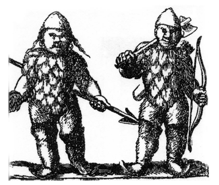 The History of the Decline and Fall of the Great Auk — The Extinctions