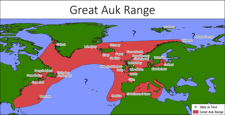 The History of the Decline and Fall of the Great Auk — The Extinctions