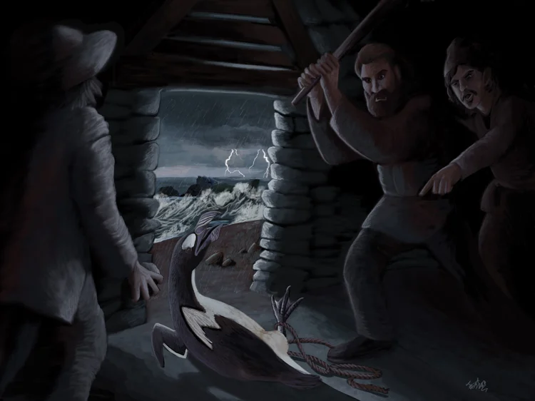 The History of the Decline and Fall of the Great Auk — The Extinctions