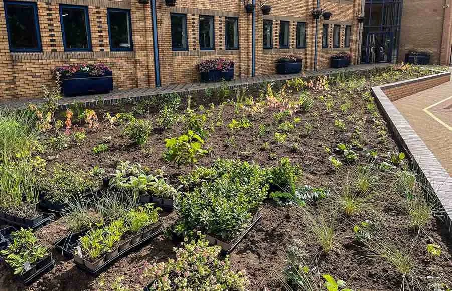 Arborscape Tree Surgery & Grounds Maintenance Cumbria