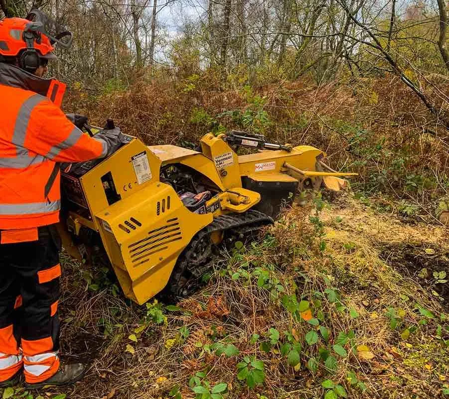 Arborscape Tree Surgery & Grounds Maintenance Cumbria