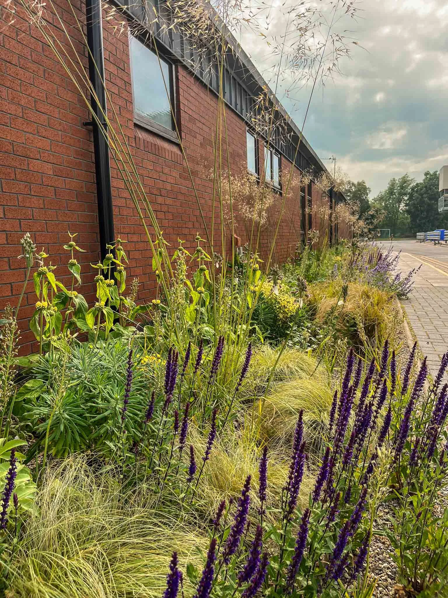 Arborscape Tree Surgery & Grounds Maintenance Cumbria