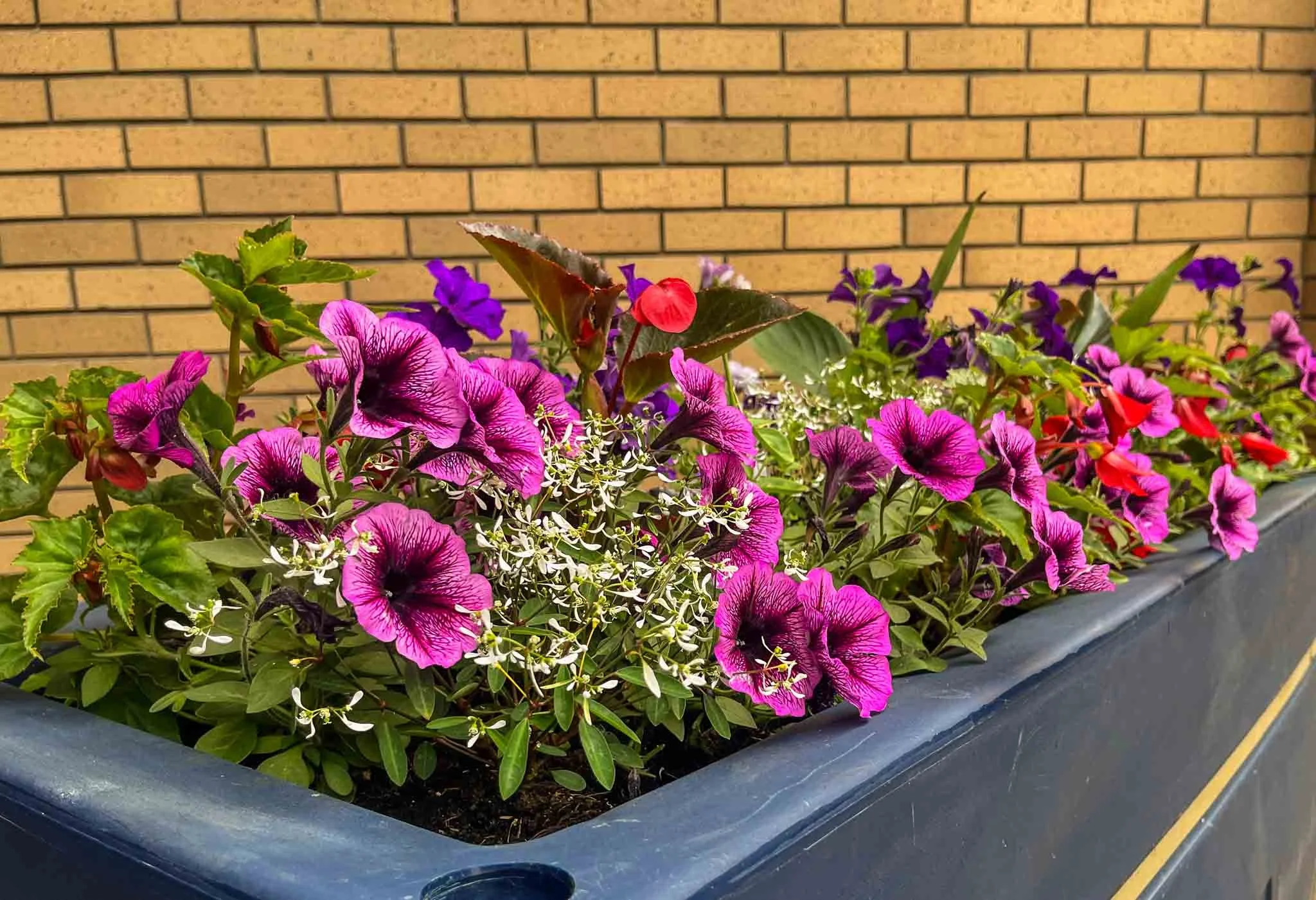 Arborscape Tree Surgery & Grounds Maintenance Cumbria