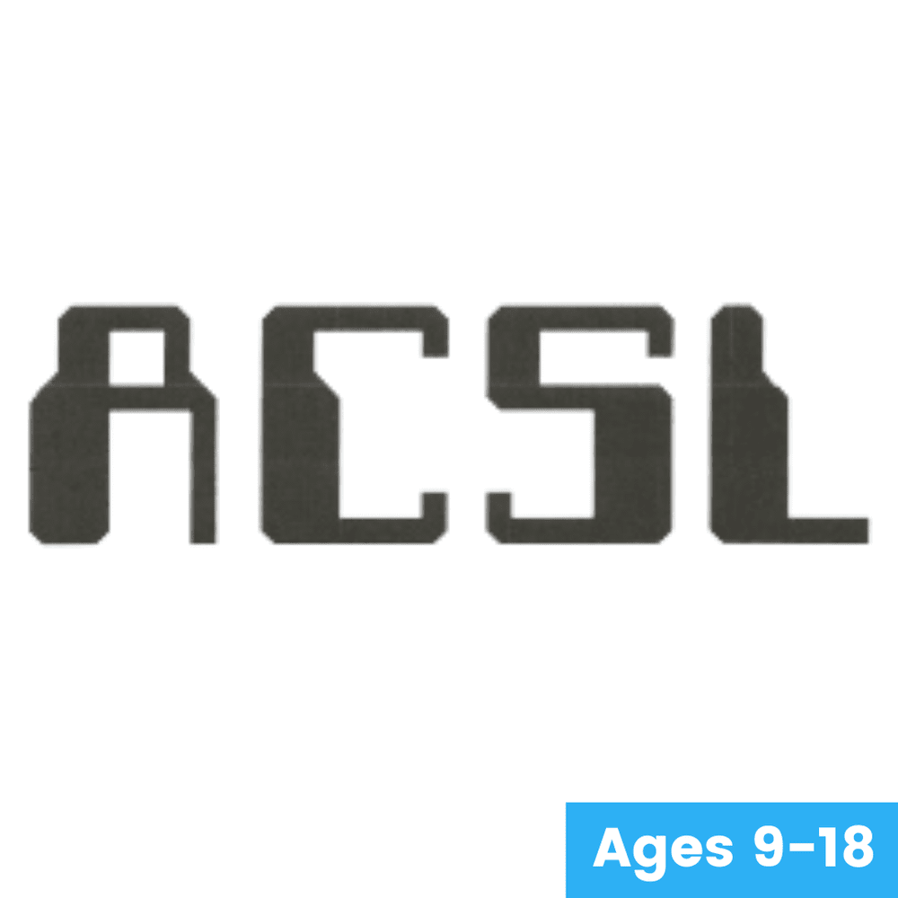 Coding Classes for Kids and Teens by Penguin Coding School