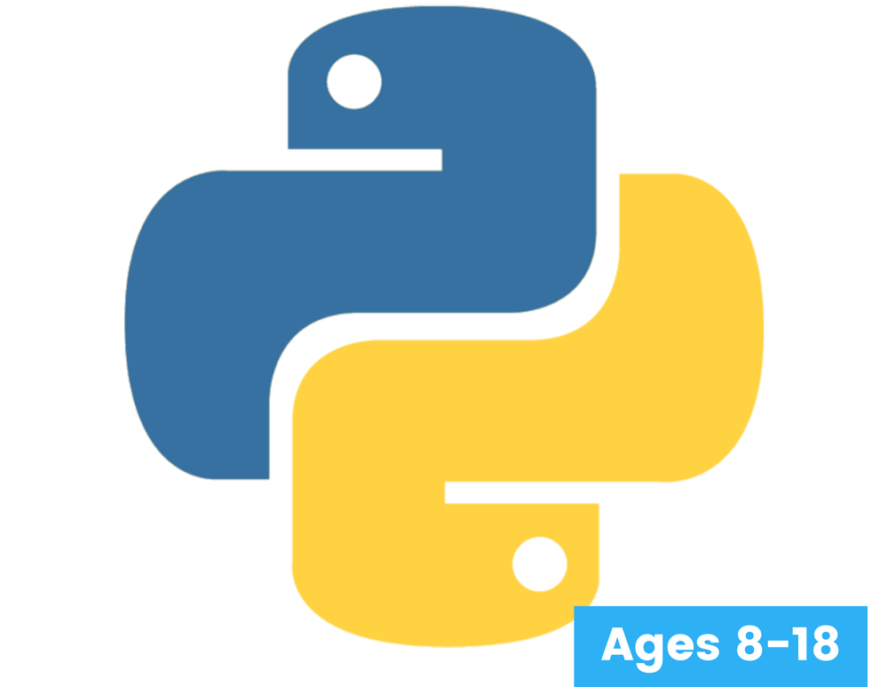 Coding Classes for Kids and Teens by Penguin Coding School