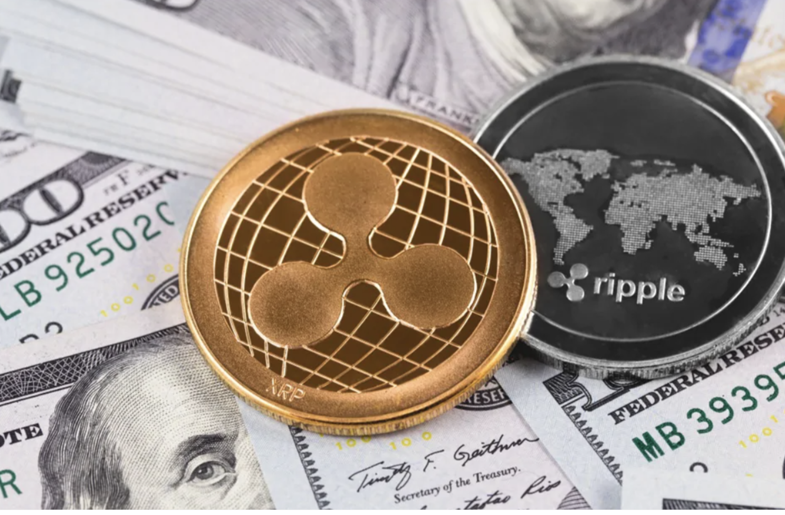Ripple: What Investors Need to Know — IPO CLUB