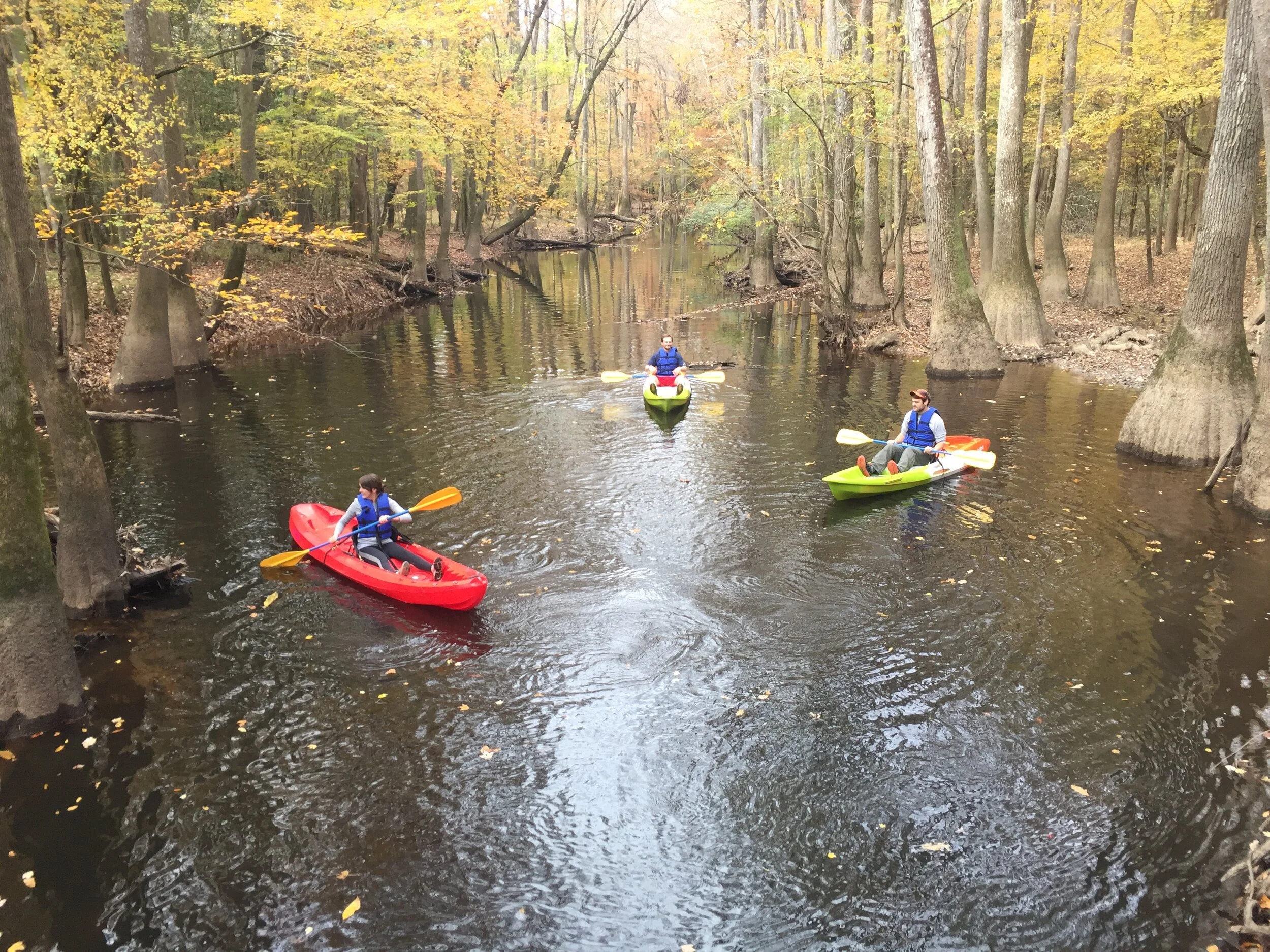 Guided Tours- Congaree National Park Canoe Tour — Palmetto Outdoor