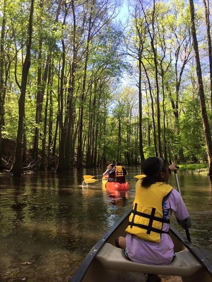 Guided Tours- Congaree National Park Canoe Tour — Palmetto Outdoor
