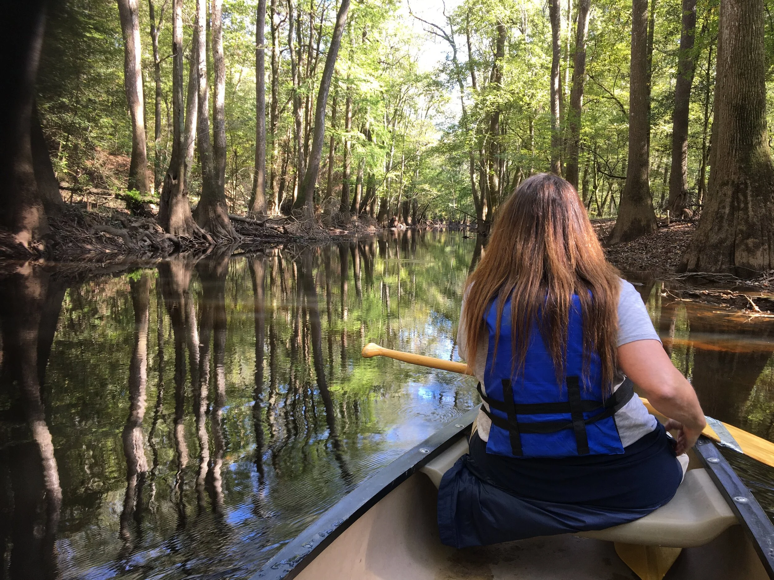 Palmetto Outdoor - Tube & Congaree Canoe Tour