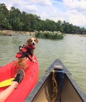 Ricochet’s Day Out — Palmetto Outdoor