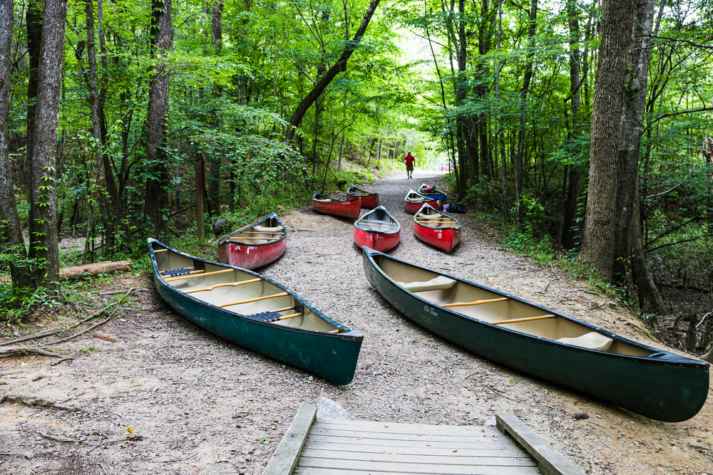 Guided Tours- Congaree National Park Canoe Tour — Palmetto Outdoor