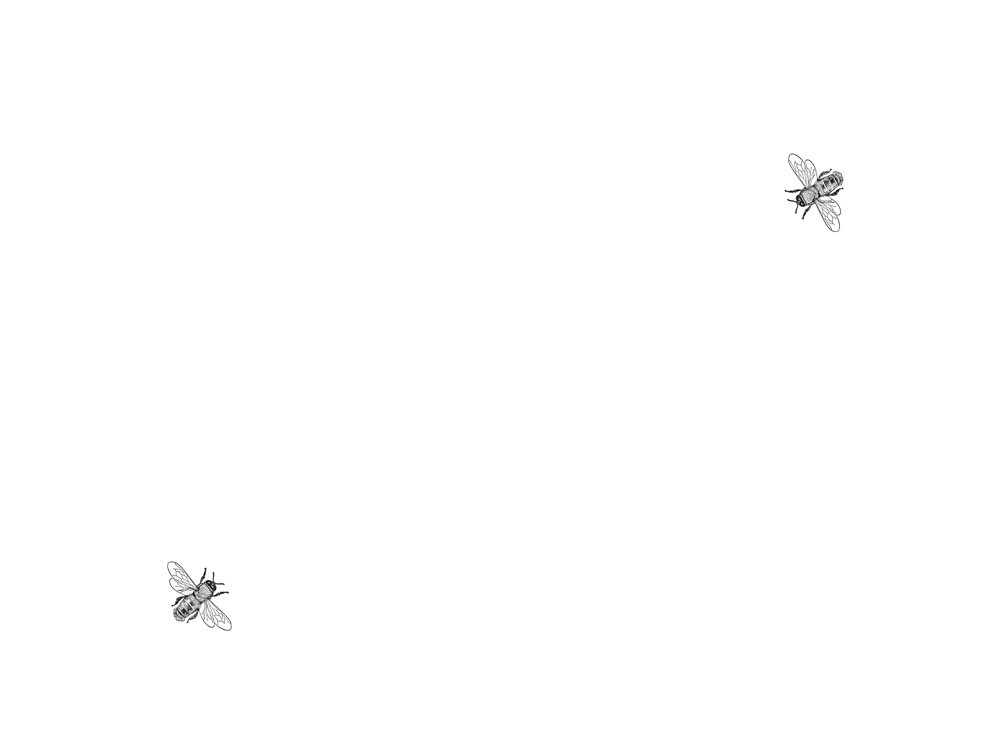 Contact — Bee Conscious Baking Company