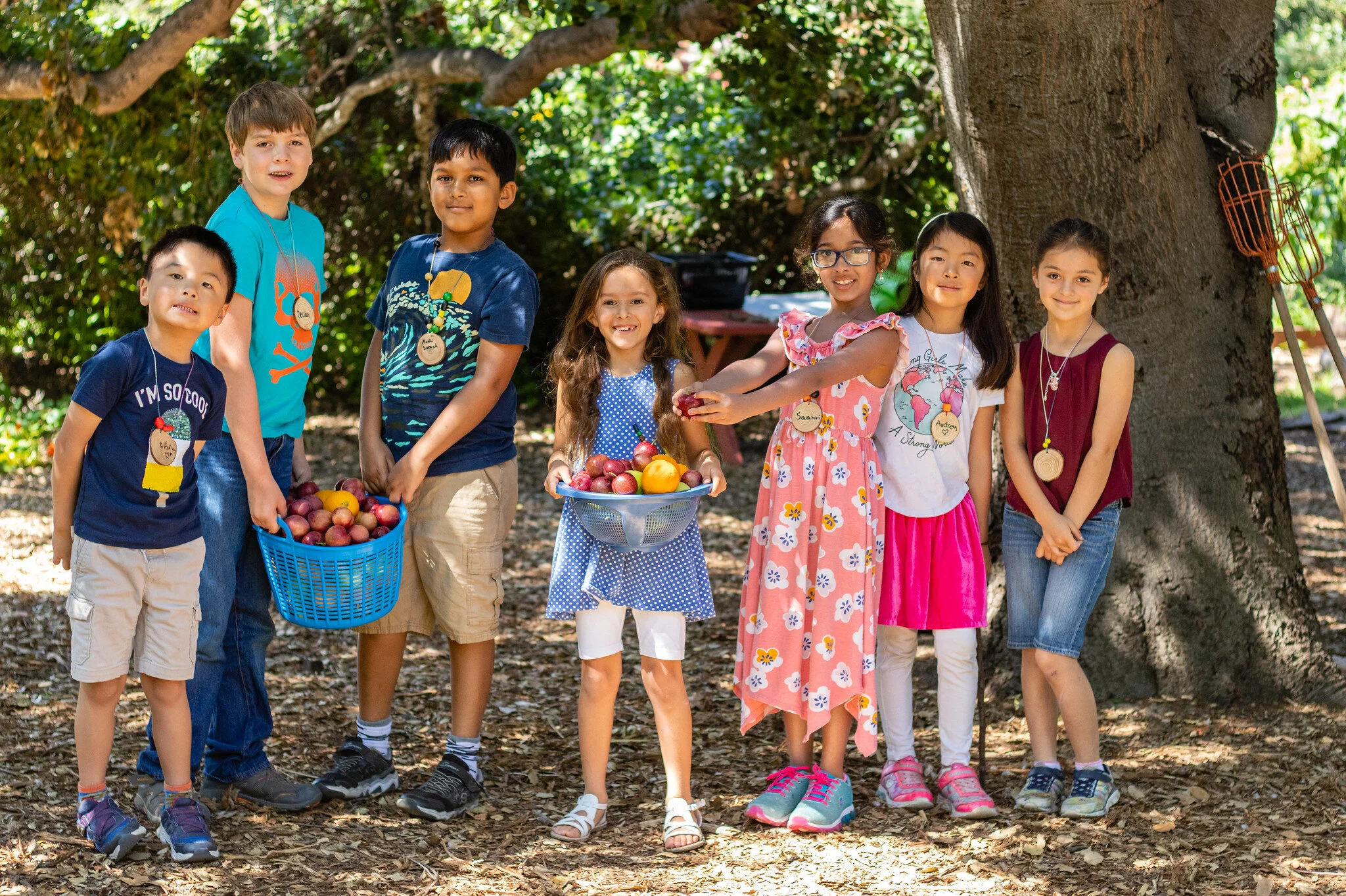 Summer Exploration Camp — Child Educational Center