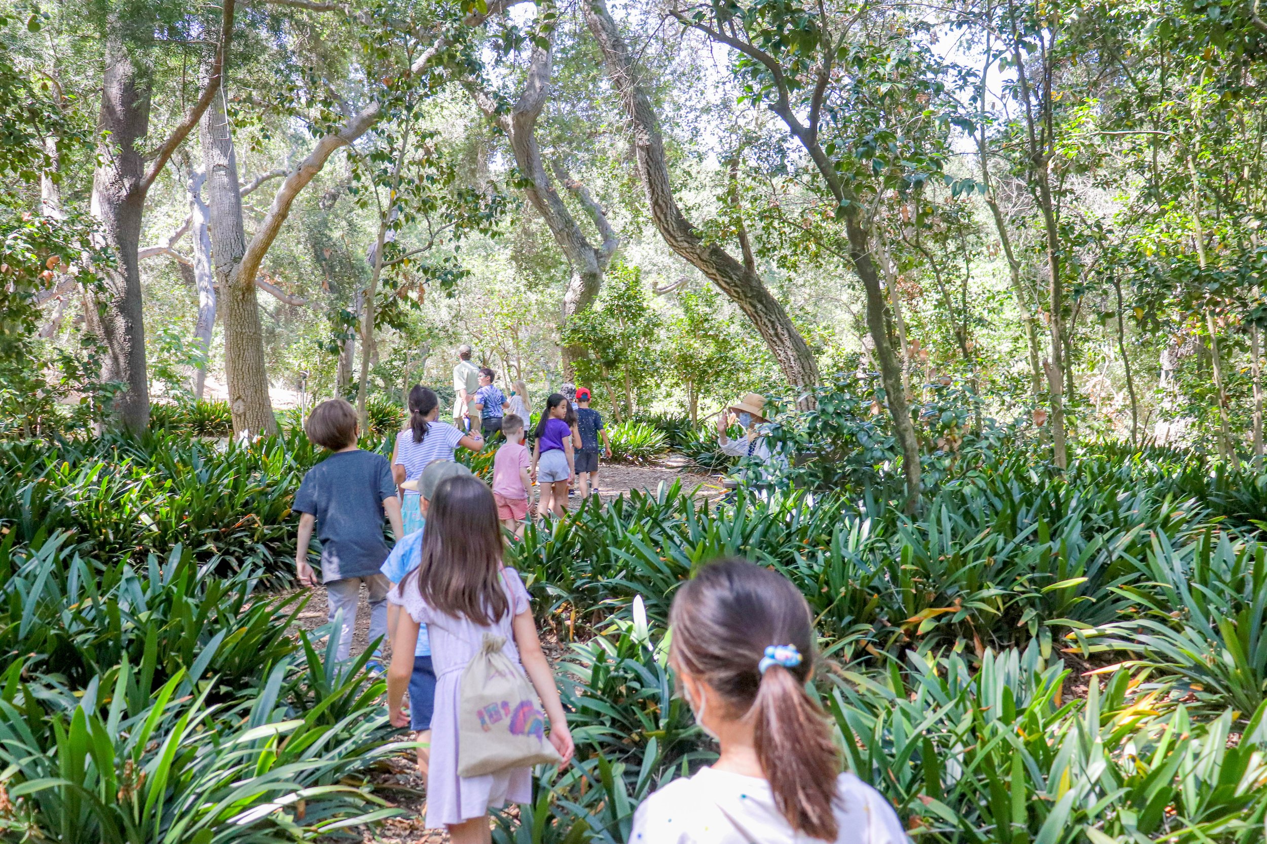 Summer Exploration Camp — Child Educational Center