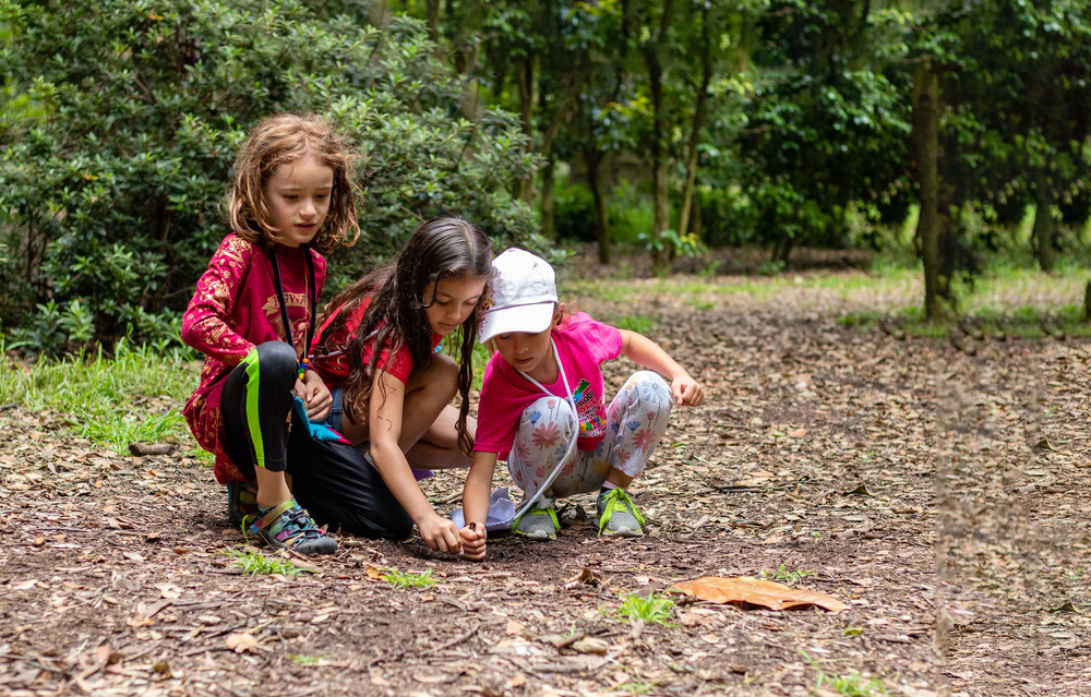 Summer Exploration Camp — Child Educational Center