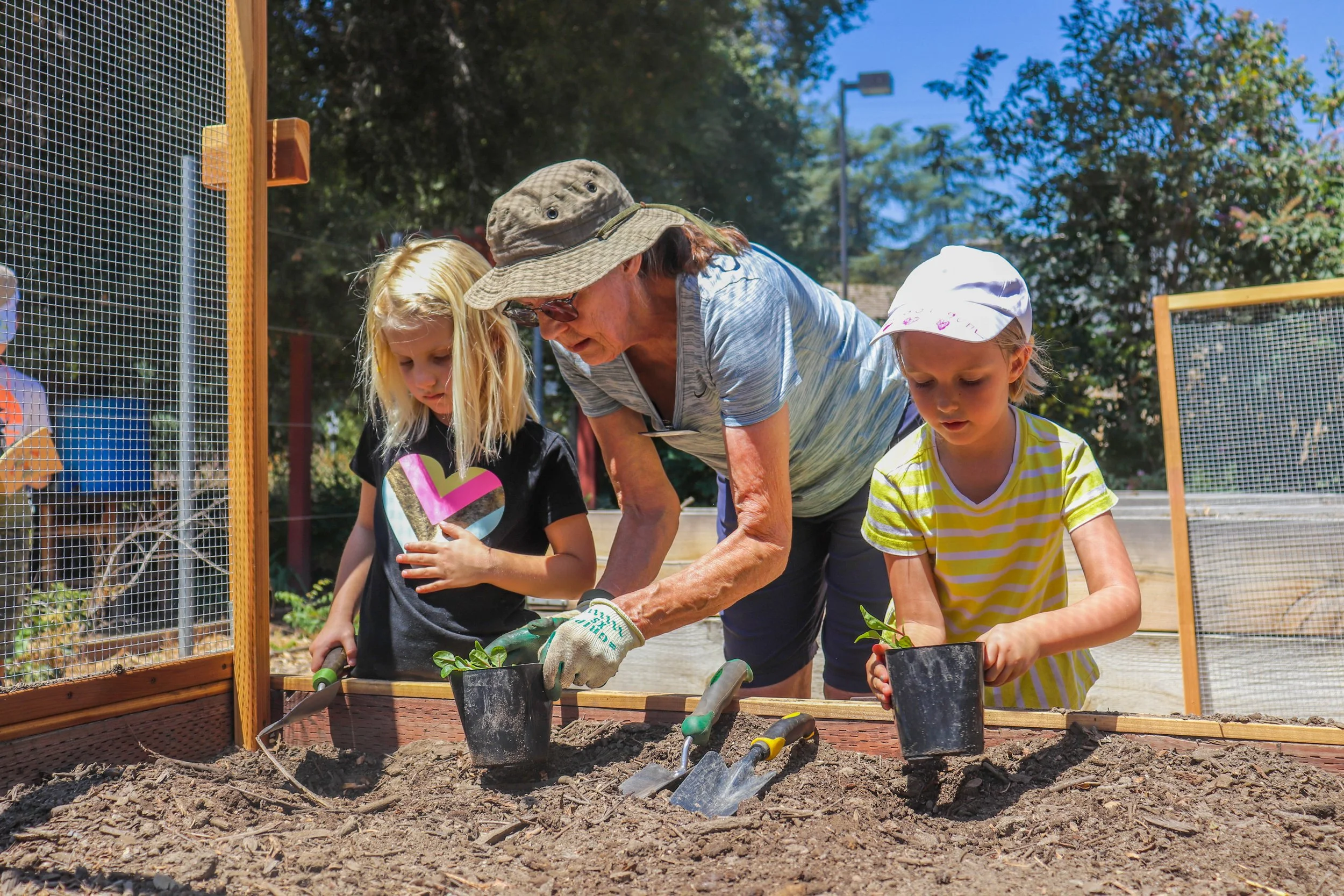 Summer Exploration Camp — Child Educational Center