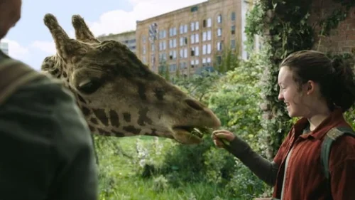 10 Interesting Behind-The-Scenes Facts About ‘The Last Of Us ...