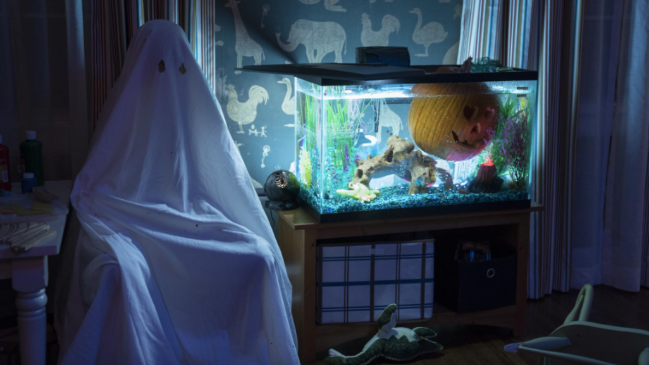 Best Horror Movies Available On Peacock — CultureSlate