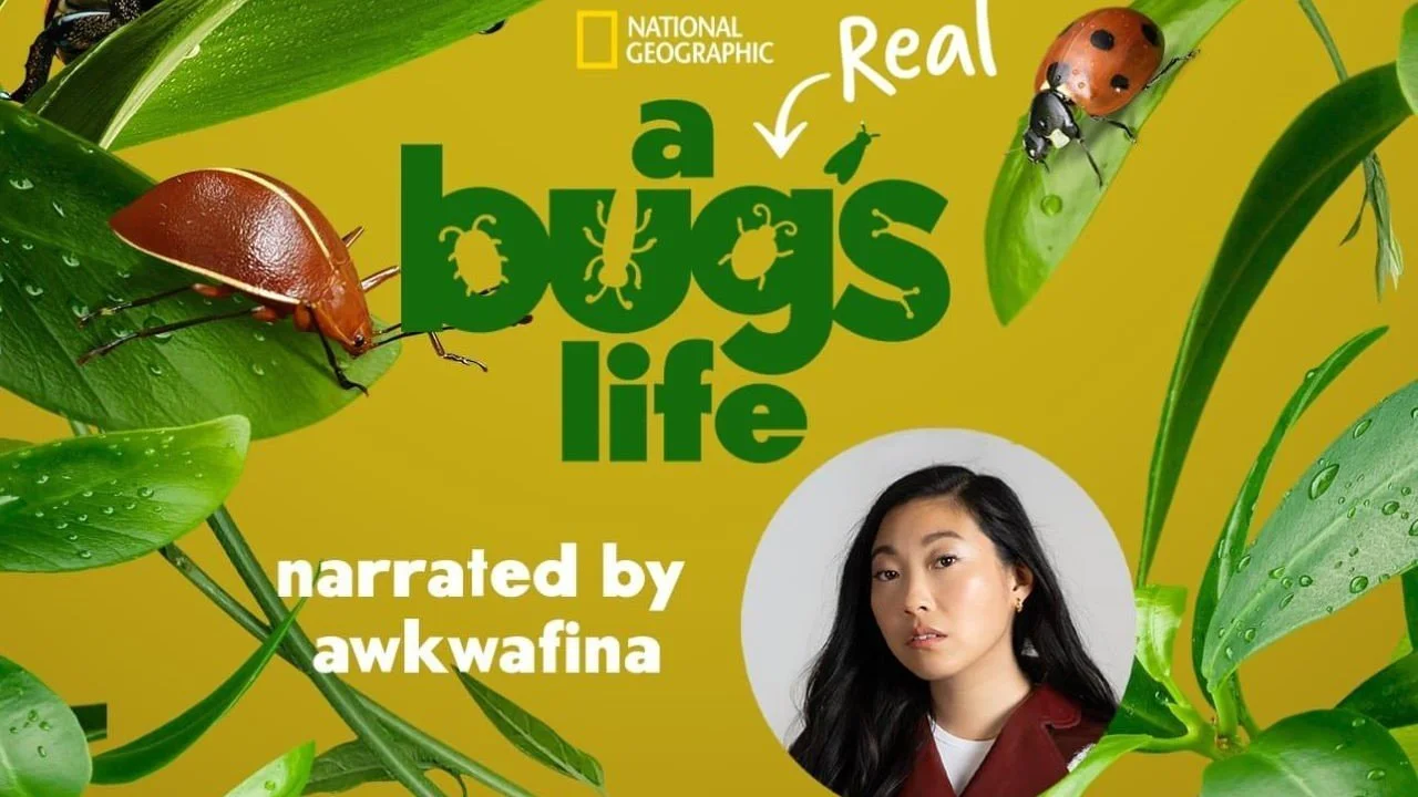 Disney+ Original "A Real Bug's Life" Release Date And Trailer Announced ...