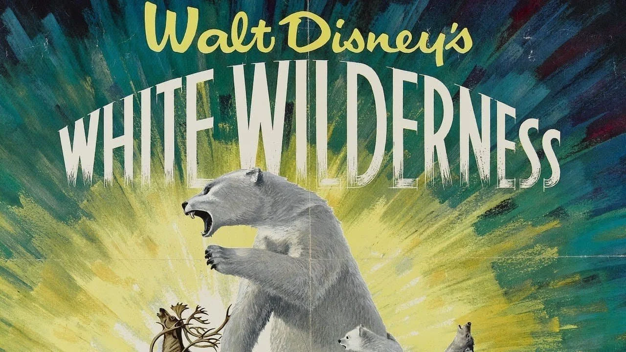 'White Wilderness': The Disney Documentary That Circulated A Lie About ...