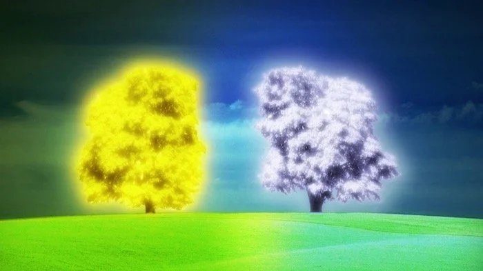 What Is Valinor In 'The Rings Of Power'? — CultureSlate