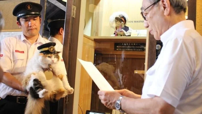 15 Examples Of PURR-fect Employees In The Real World — CultureSlate