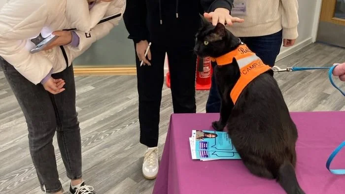 15 Examples Of PURR-fect Employees In The Real World — CultureSlate