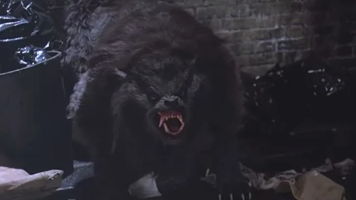 5 Horror Movies To Watch If You Loved ‘The Quarry’ — CultureSlate