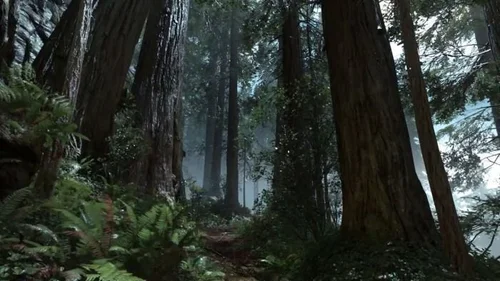A Quick Guide To The Outer Rim Territories: Part 2 — CultureSlate