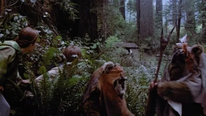 Why The Ewoks Are The True Heroes Of The Rebellion — CultureSlate