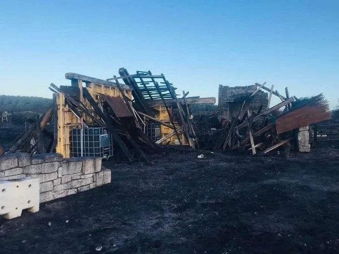 Vernon Sanders Talks About Prime Video’s Returns After Season 1 Of ‘The ...