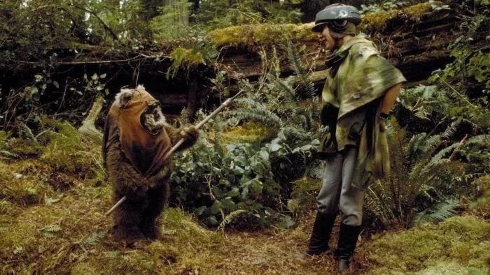 Why The Ewoks Are The True Heroes Of The Rebellion — CultureSlate