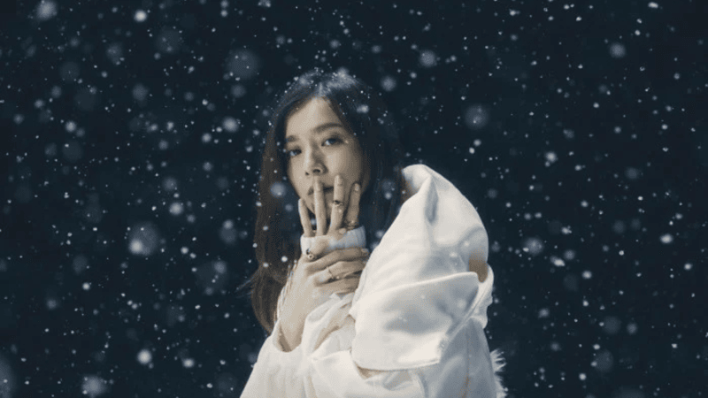 Top 10 Anison Artists — CultureSlate