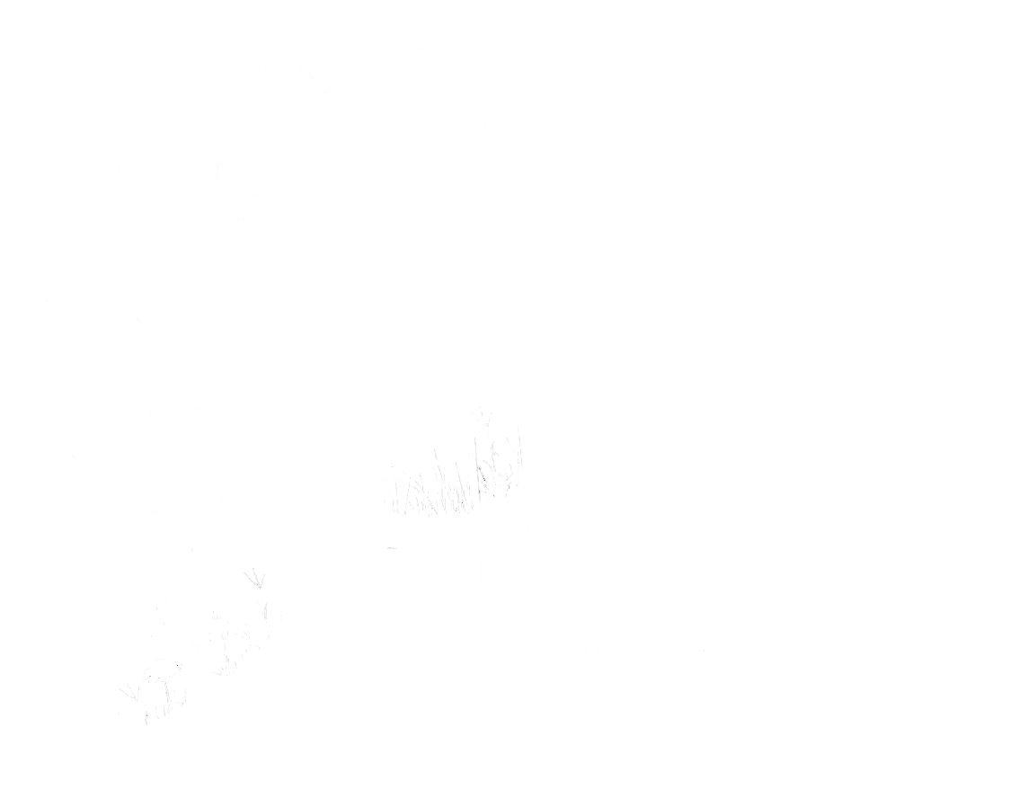 Contact Us Keeping It Native Land Management contact-us-keeping-it-native-land-management