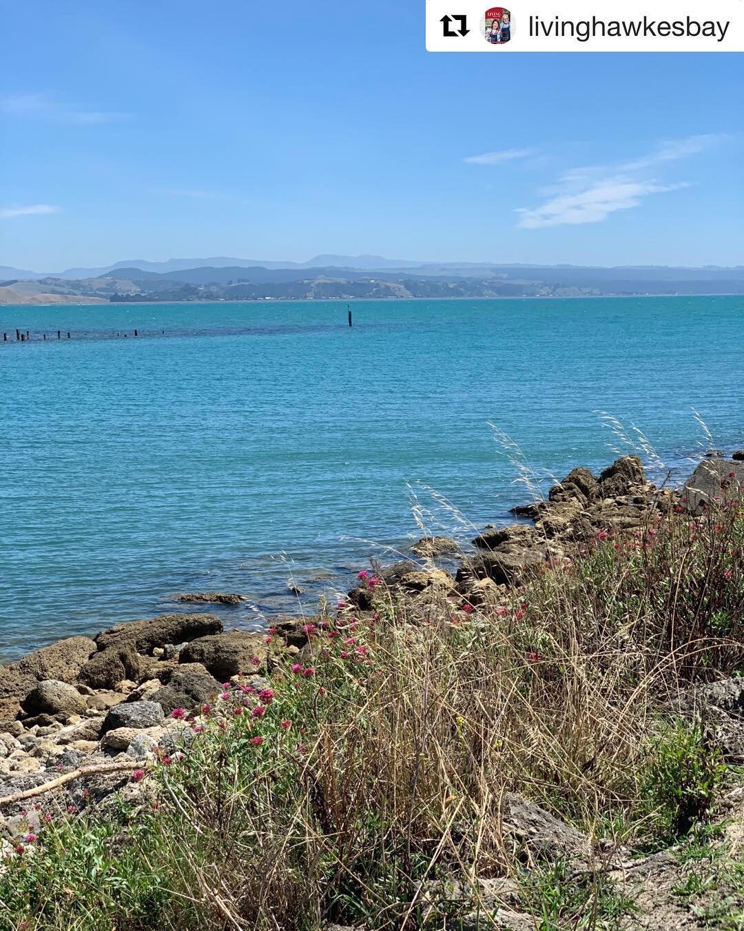 Ahuriri Business Association