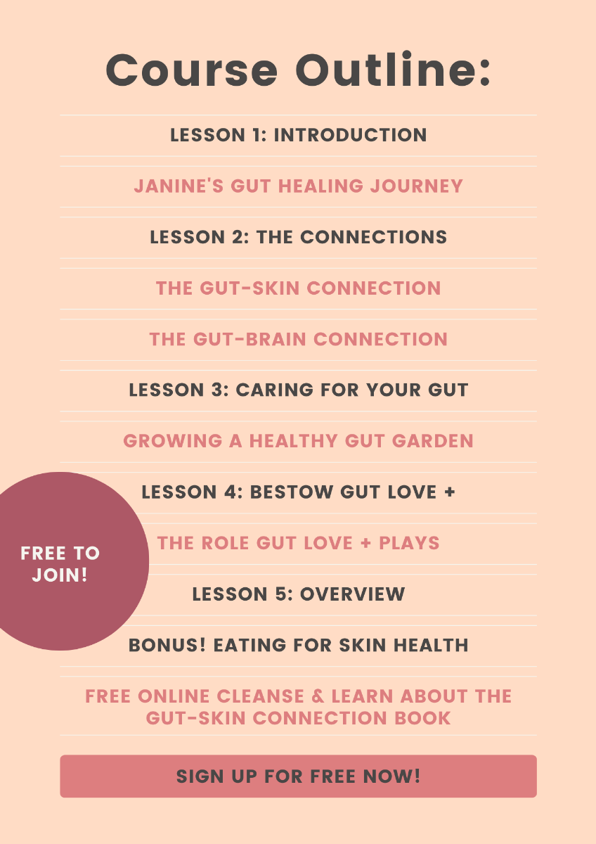Free E-course: How to Heal Your Unhappy Gut | Jamele Skincare