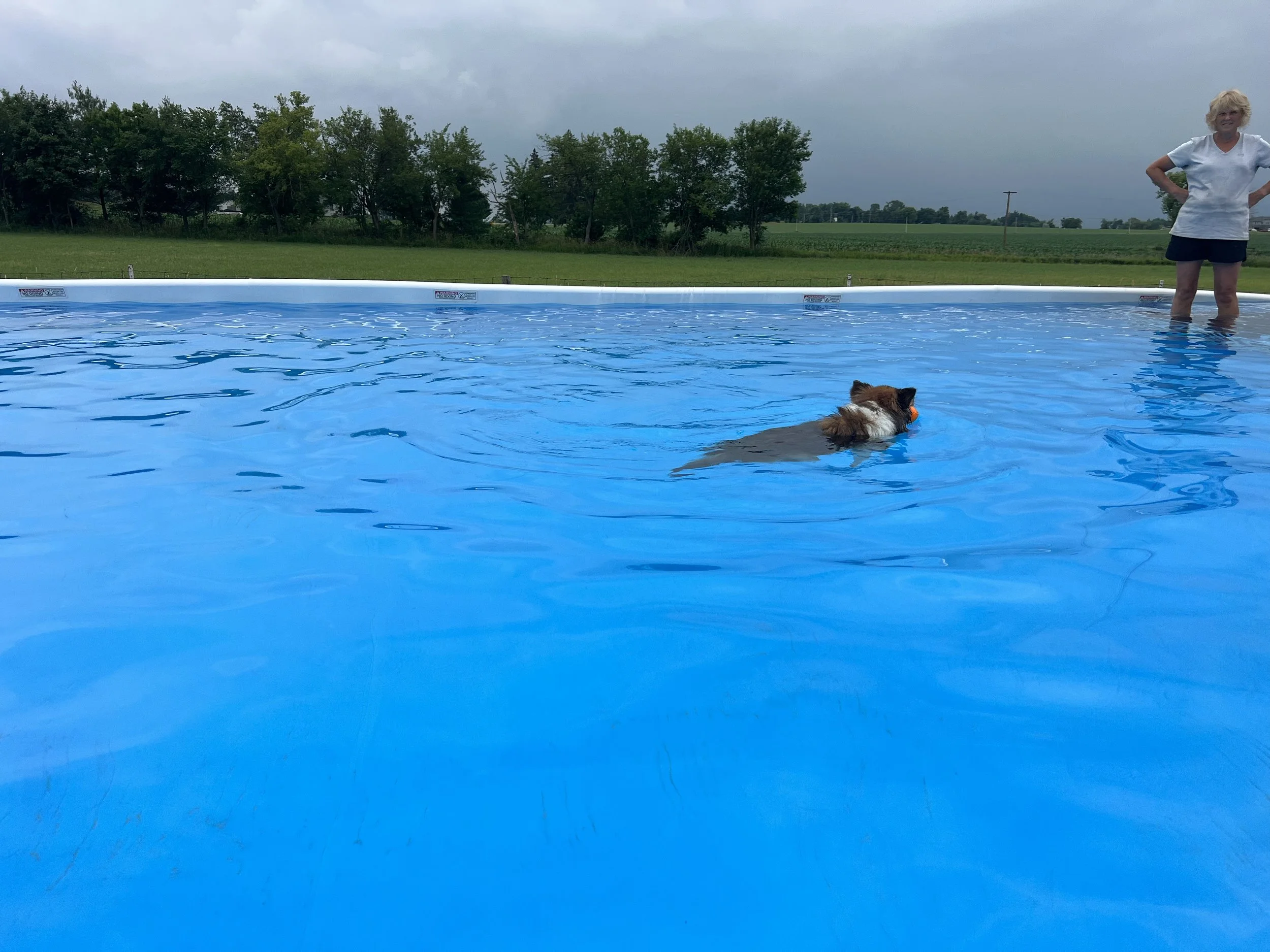 Swimming — Agility at the Farm