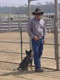 Events — Agility at the Farm