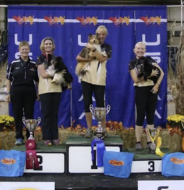 Agility — Agility at the Farm