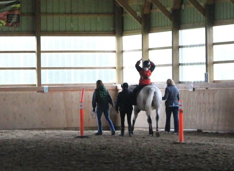 Therapeutic Riding — vtea.ca
