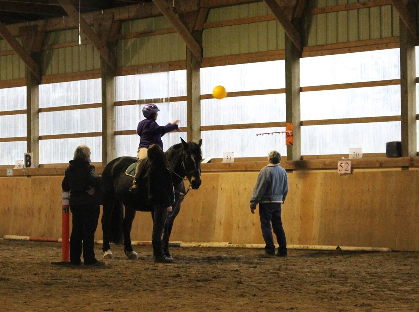 Hippotherapy — vtea.ca