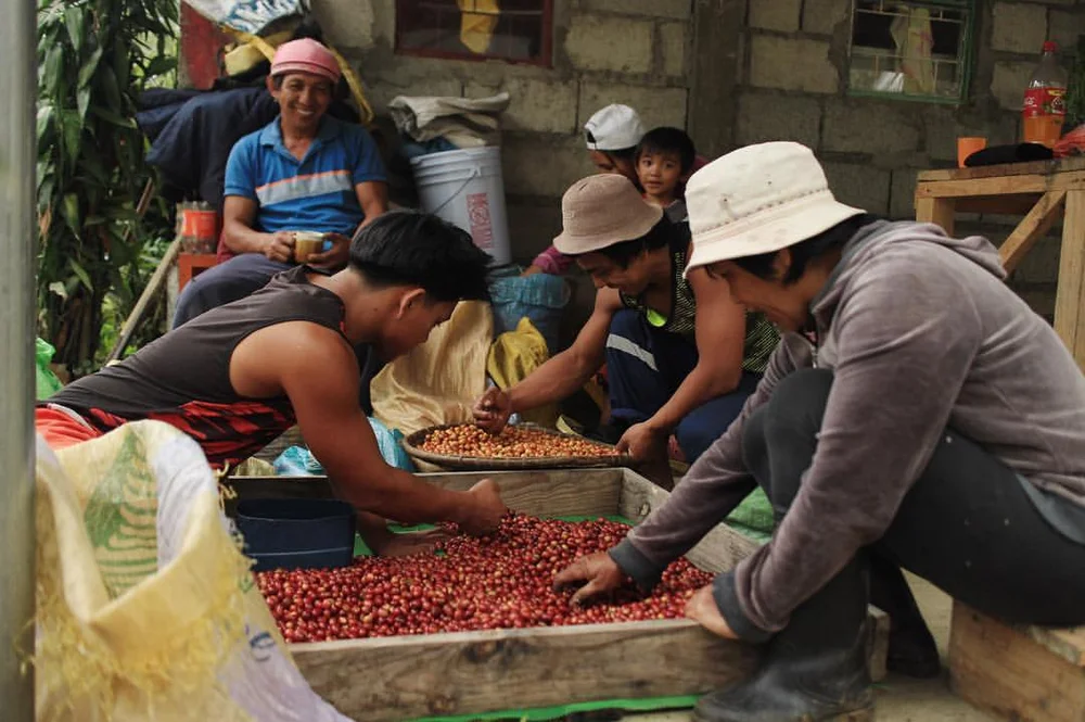 Kalsada | Kalsada Coffee Mission