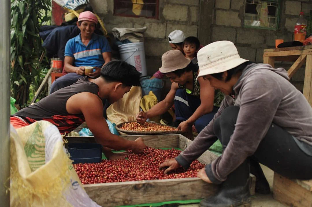 Kalsada | Kalsada Coffee Mission