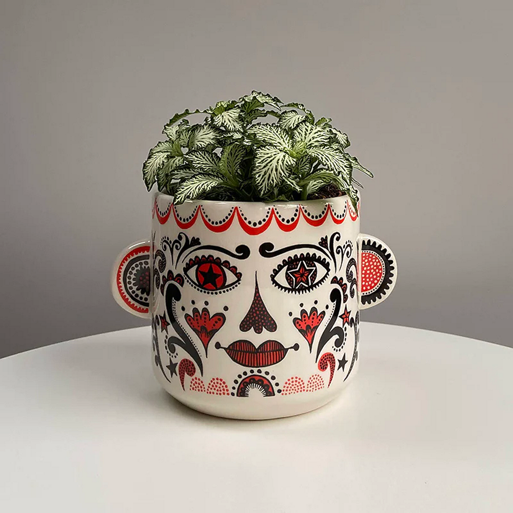 Shop — Studio One Furniture