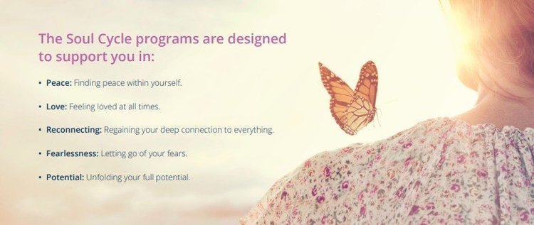 Healy Soul Cycle — Healy Frequency Device World Distributors