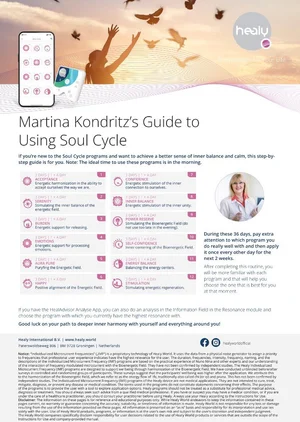 What is Healy Soul Cycle? — Healy Frequency Device World Distributors