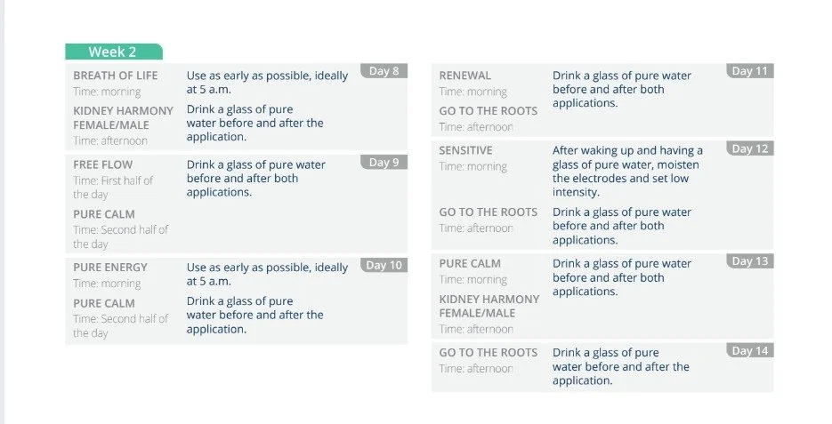 Healy Deep Cycle Protocol — Healy Frequency Device World Distributors