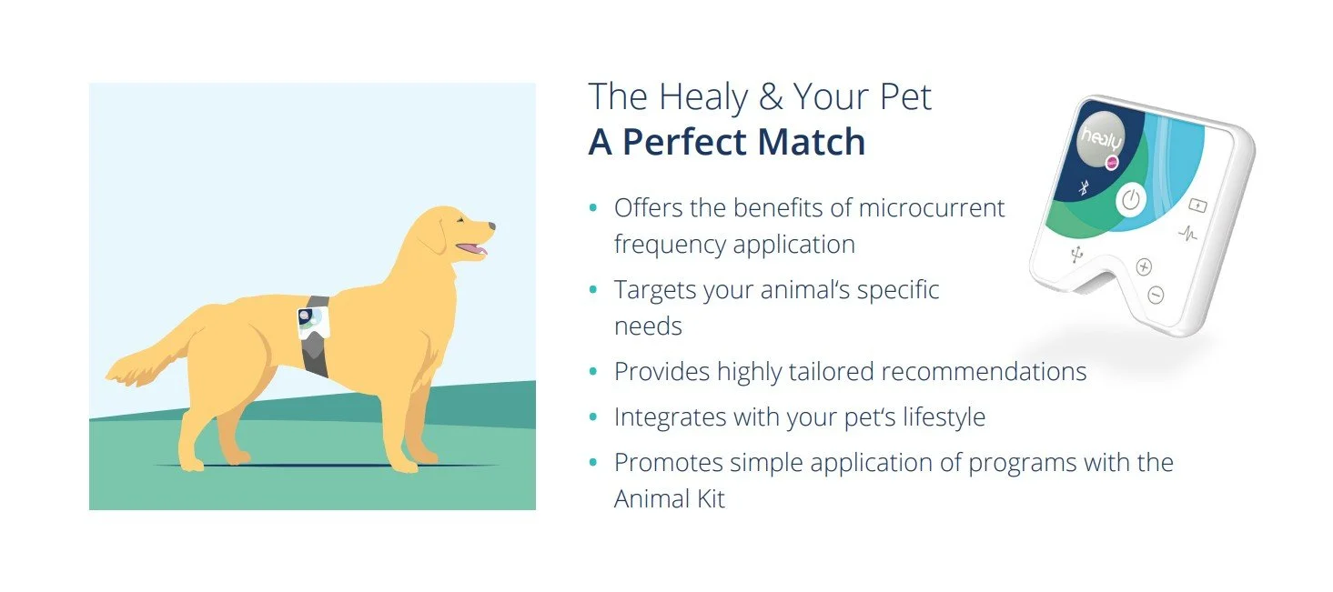 Healy For Animals - Everything You Need To Know — Healy Frequency ...