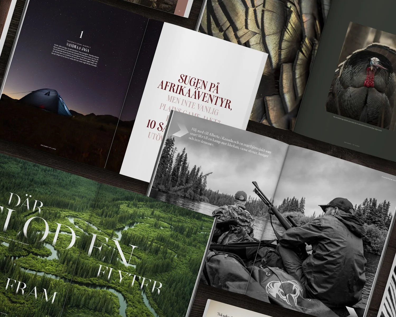 Angelica Zander Graphic Design + more