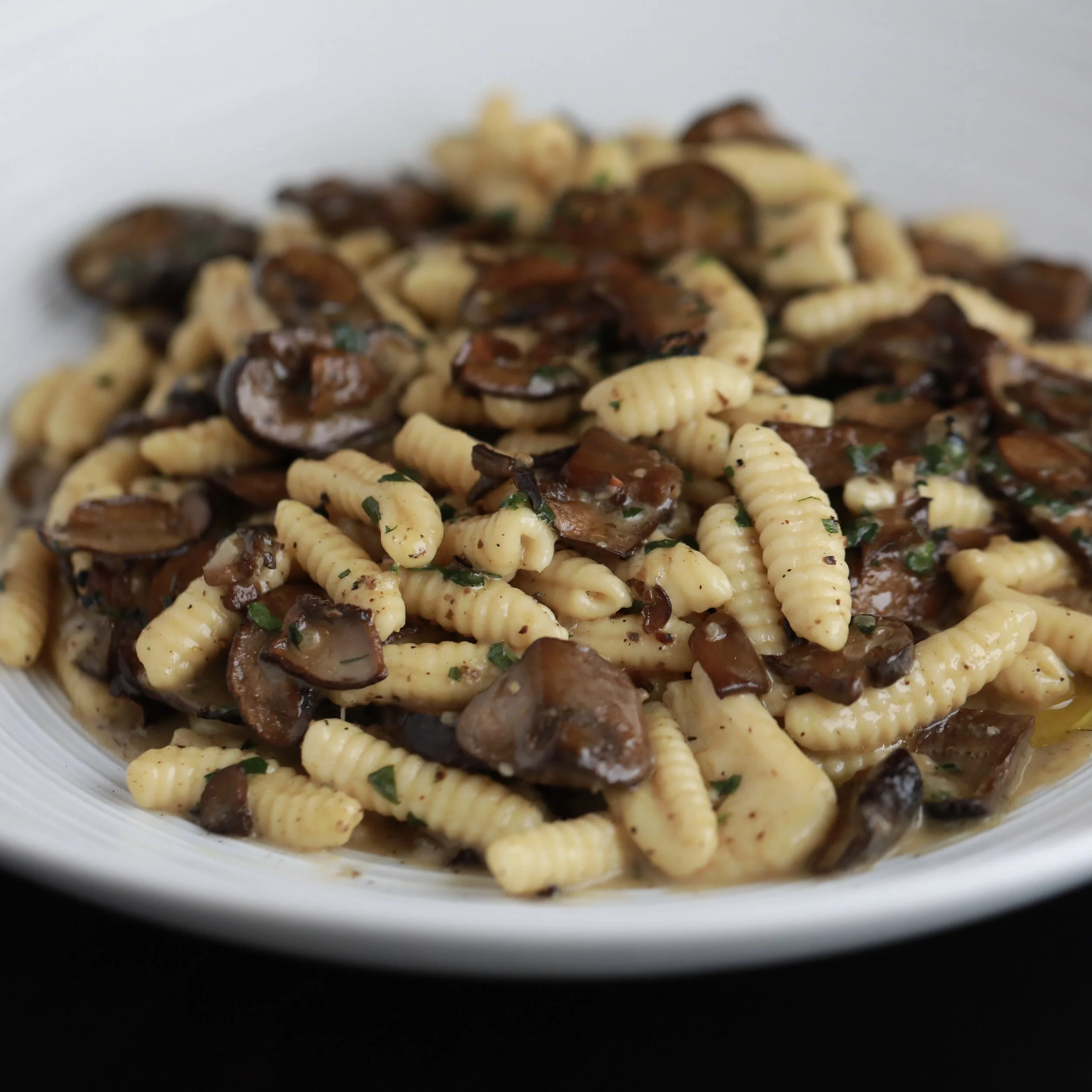 Gallery — Corfinio Easton